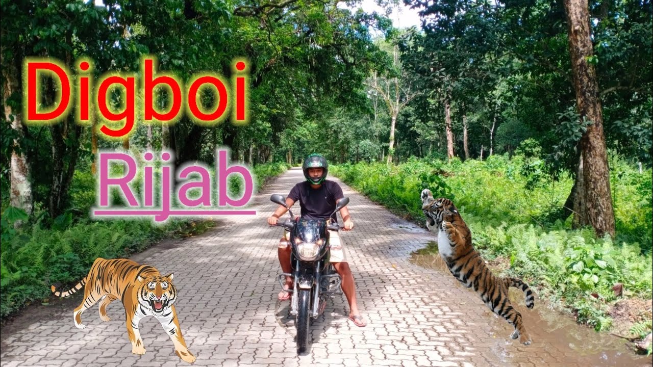 Bordumsa To Digboi Road | Assam Forest Rijab | The Digboi Forest Road ...