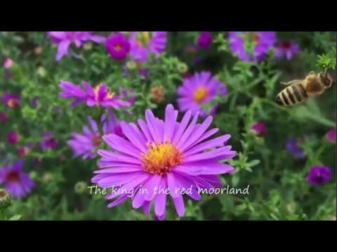 Heather Ale, poem of R. L. Stevenson, music - Light Lines - YouTube