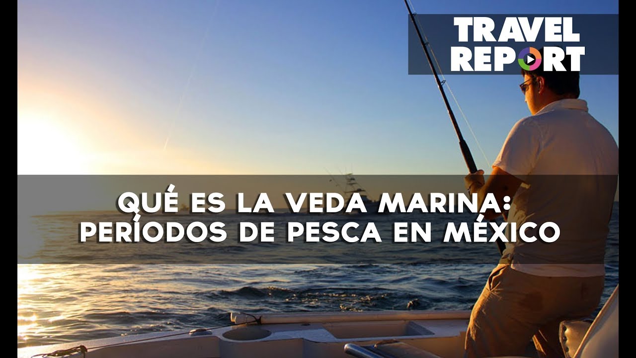 Qué es la veda marina: períodos de pesca en México - YouTube