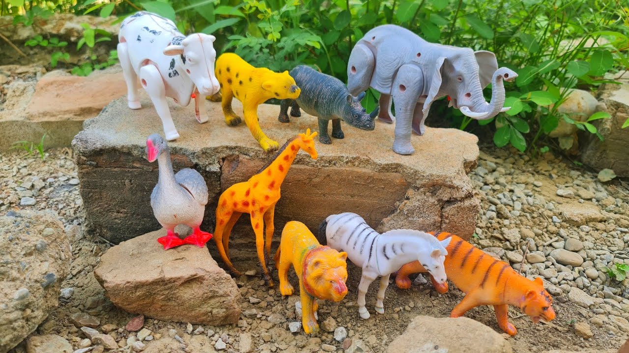 Menemukan hewan Gajah,sapi,singa,zebra,harimau,badak,jerapah |Animals ...