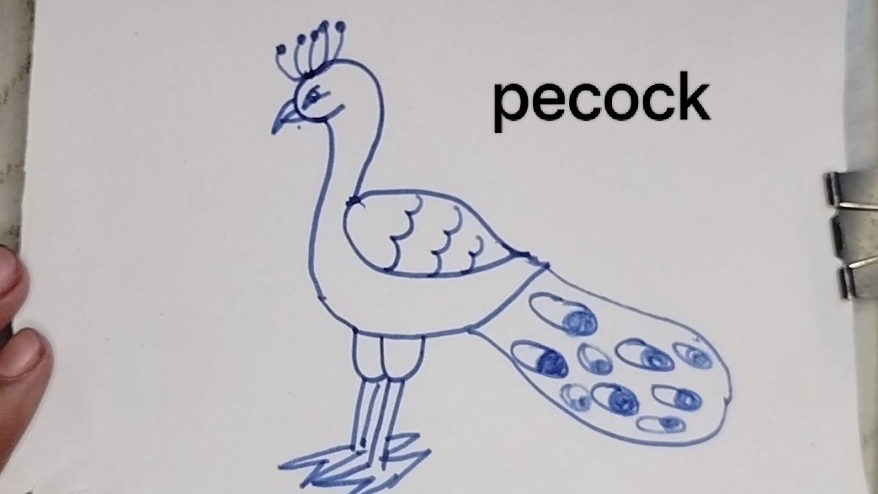 How to draw a pecock 🦚🦚||pecock drawing||very easy||Art video - YouTube