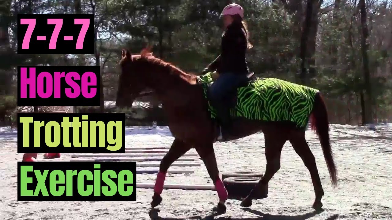 777 Trotting Exercise || Horse Riding Exercise - YouTube