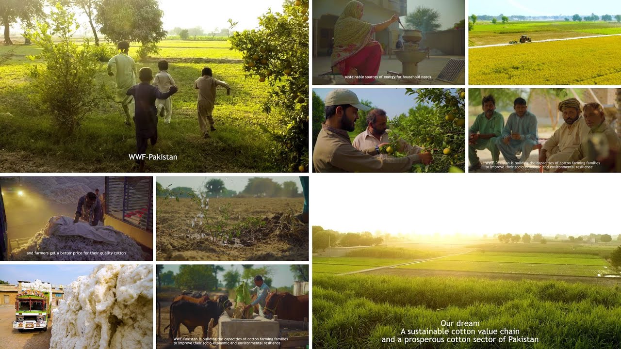 Agroforestry and Biodiversity Conservation Project - WWF - YouTube