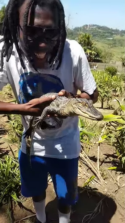 Sanele Mngadi @ Phezulu Safari - YouTube