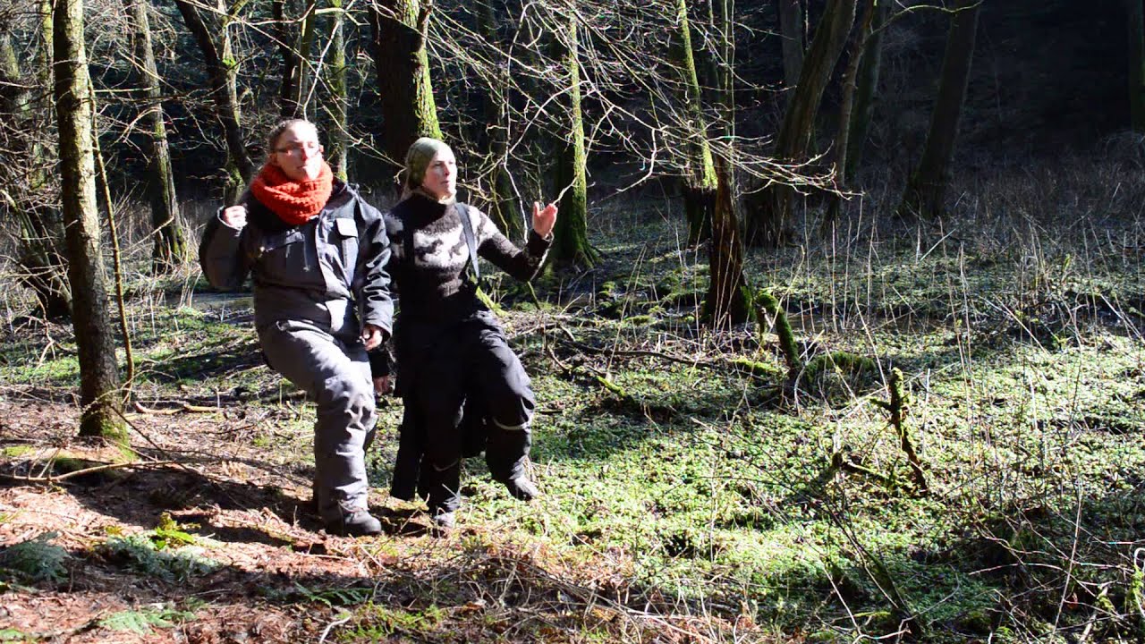 I try to teach "Kulning" in the danish forest - YouTube