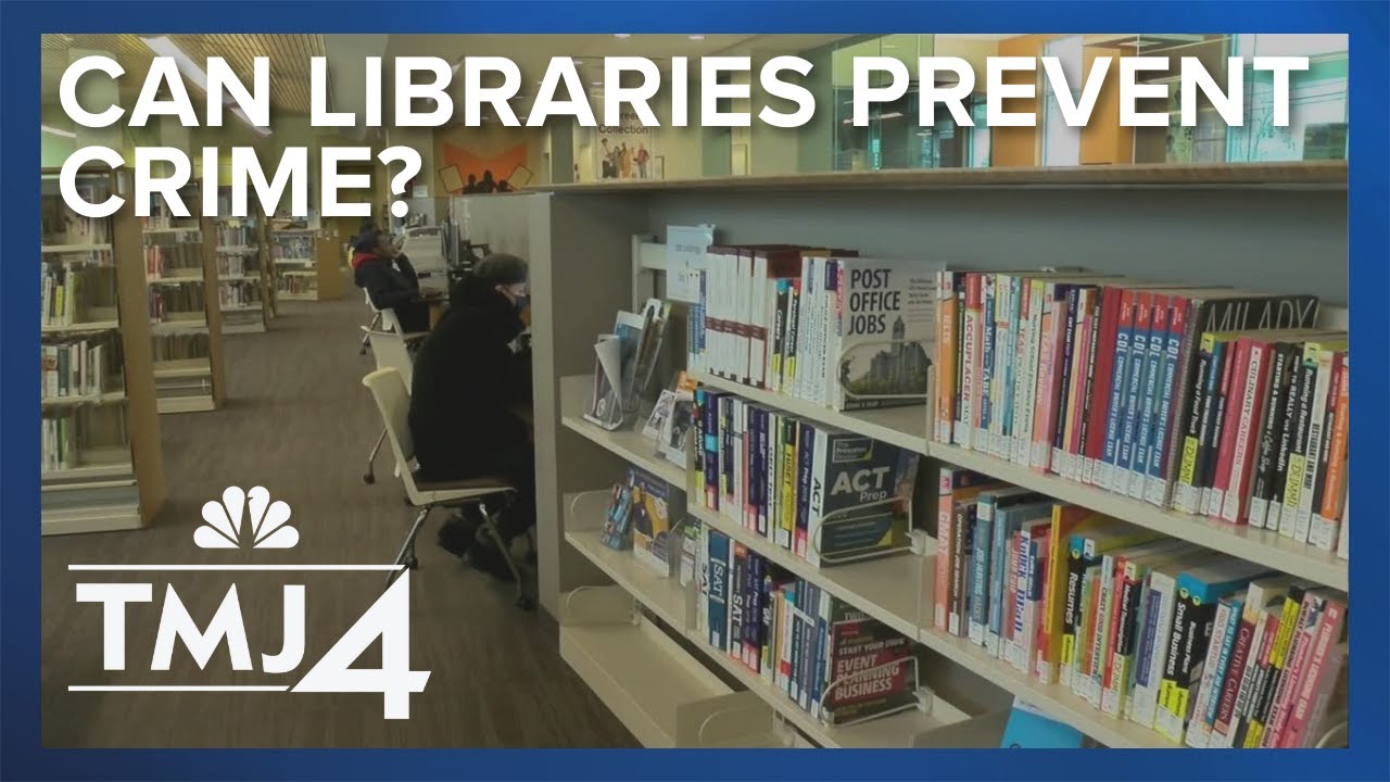Could bolstering public libraries be the key to reducing crime and ...