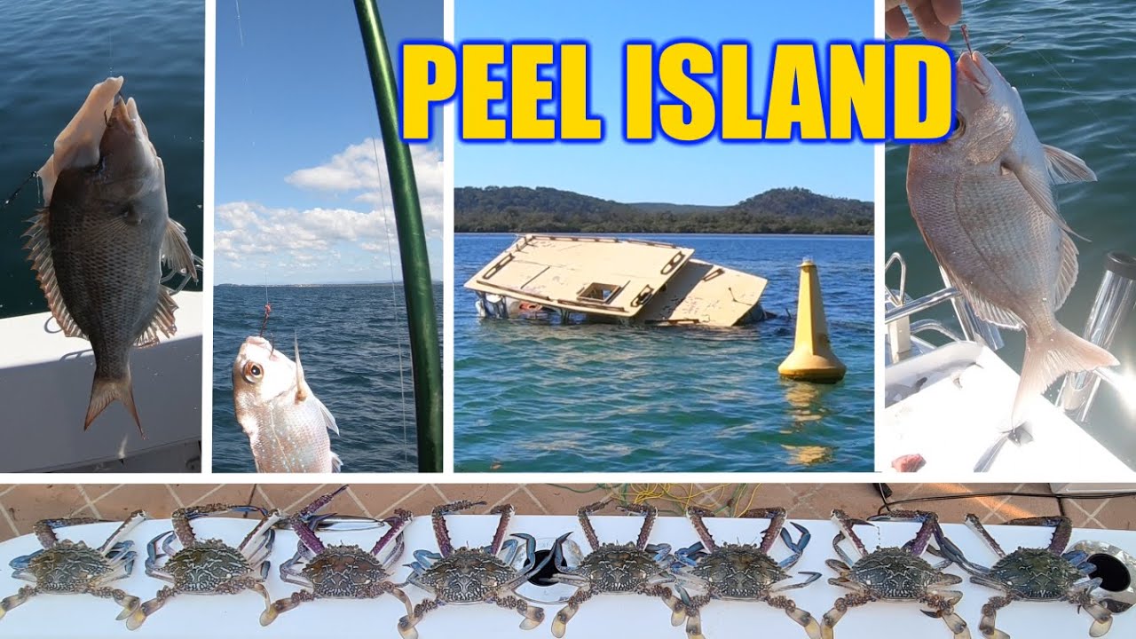 🇦🇺🎣🐟🦀🚤 PEEL ISLAND FISHING & CRABBING - LURE VS. BAIT - YouTube
