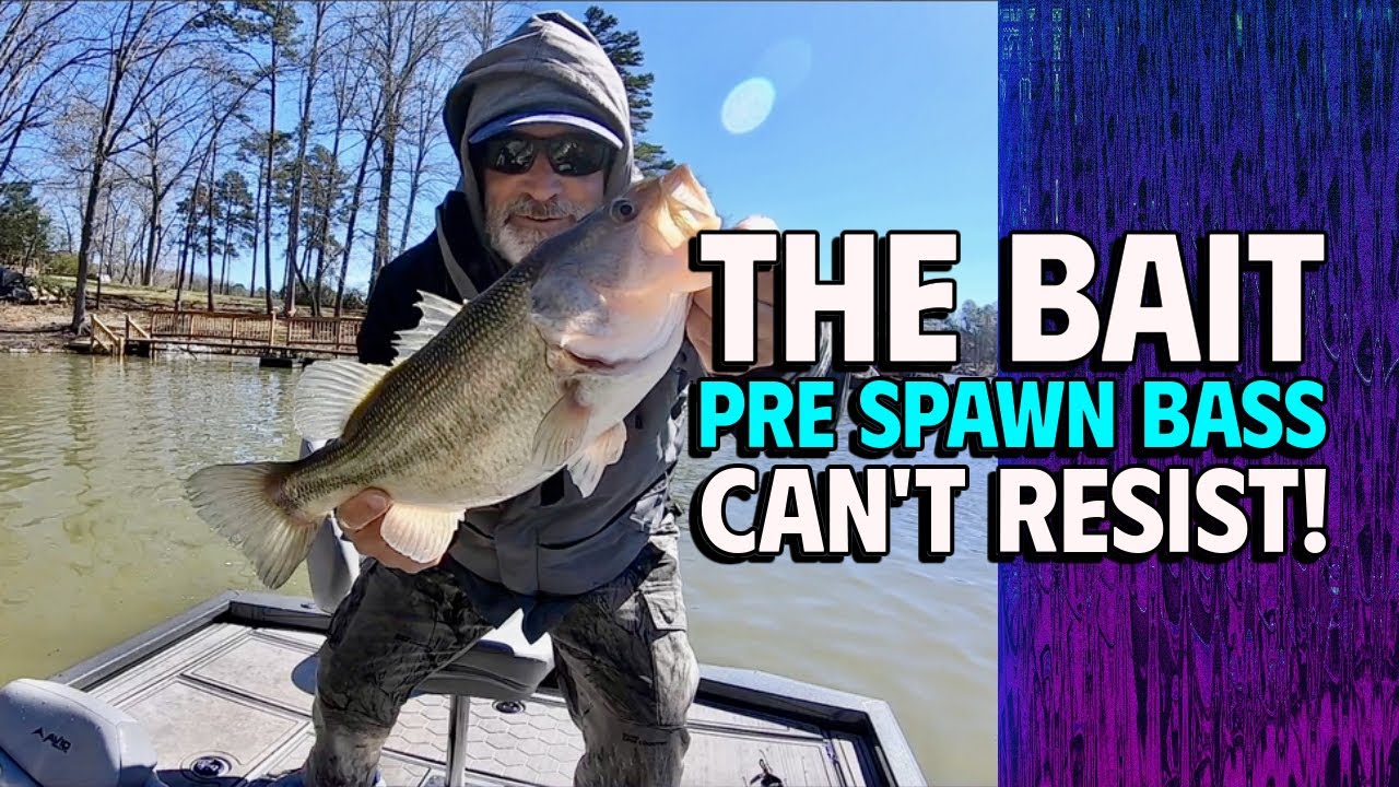 The Bait Pre Spawn Bass Can't Resist #lakelanierfishing2024 # ...