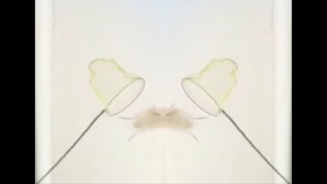 Eyelashes! - Moth (Visualizer) - YouTube