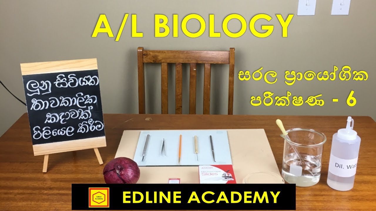 How to prepare a temporary slide Biology Practicals Advanced Level ...