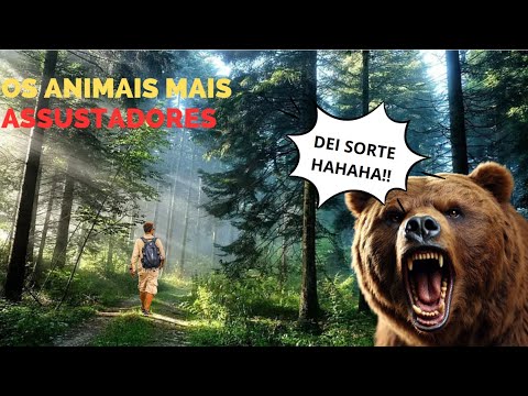 OS 10 ANIMAIS MAIS PERIGOSOS DO MUNDO