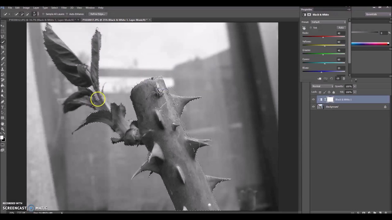 spider editing - YouTube