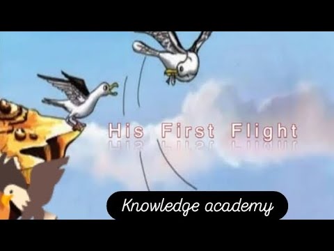 His first flight || class 10 || english chapter 3 || detailed ...
