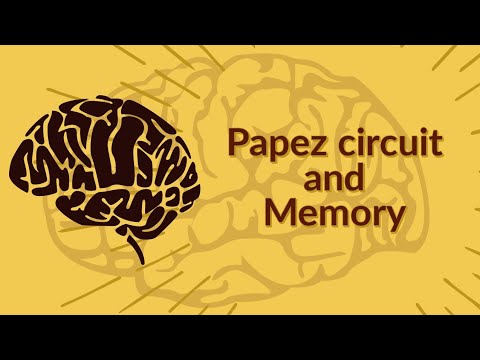 Papez Circuit and Memory | Physiology Review - 200 MCQ , 2016 - YouTube