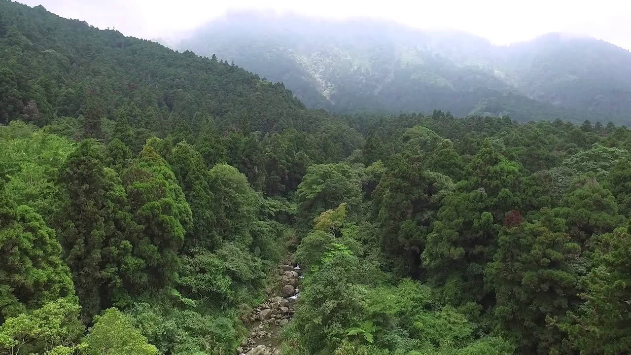 Taiwan from above: Xitou (Jurassic) Park - YouTube