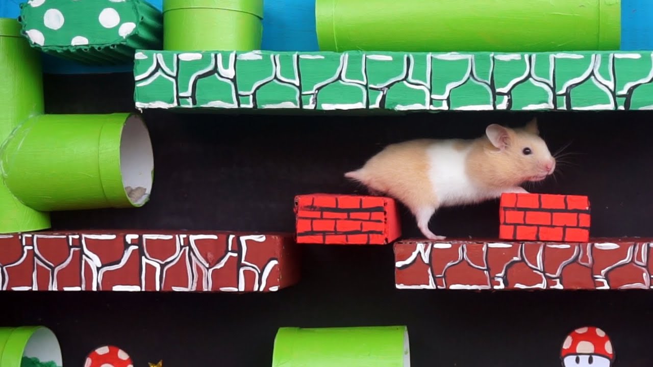 Super Mario Hamster Bros – Cute Hamster vs Highest Level Super Mario ...