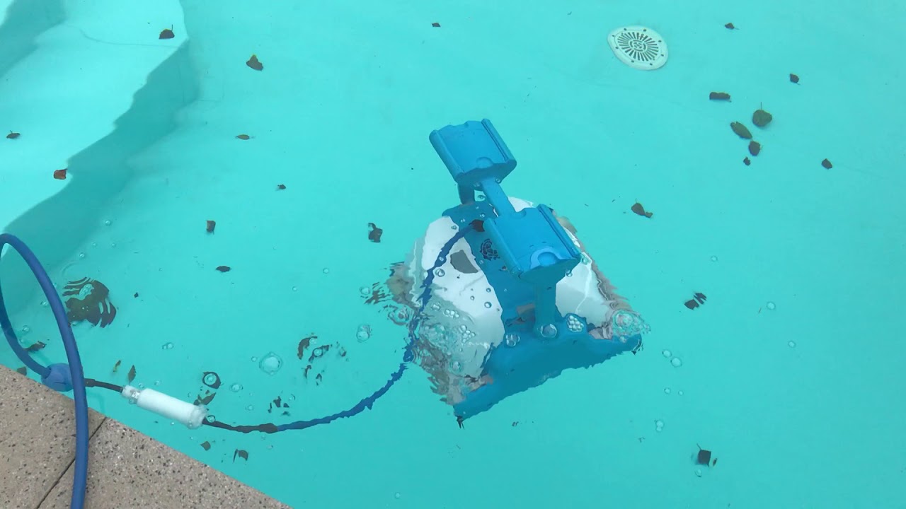Evolution 40 Dolphin Poolroboter - YouTube