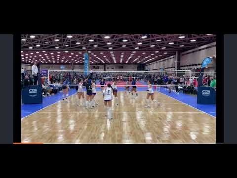 2026 Ashley Logan Setter/OPP