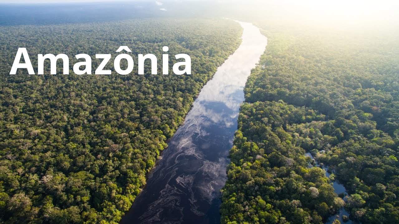 Floresta Amazônica Em 4K HD - YouTube