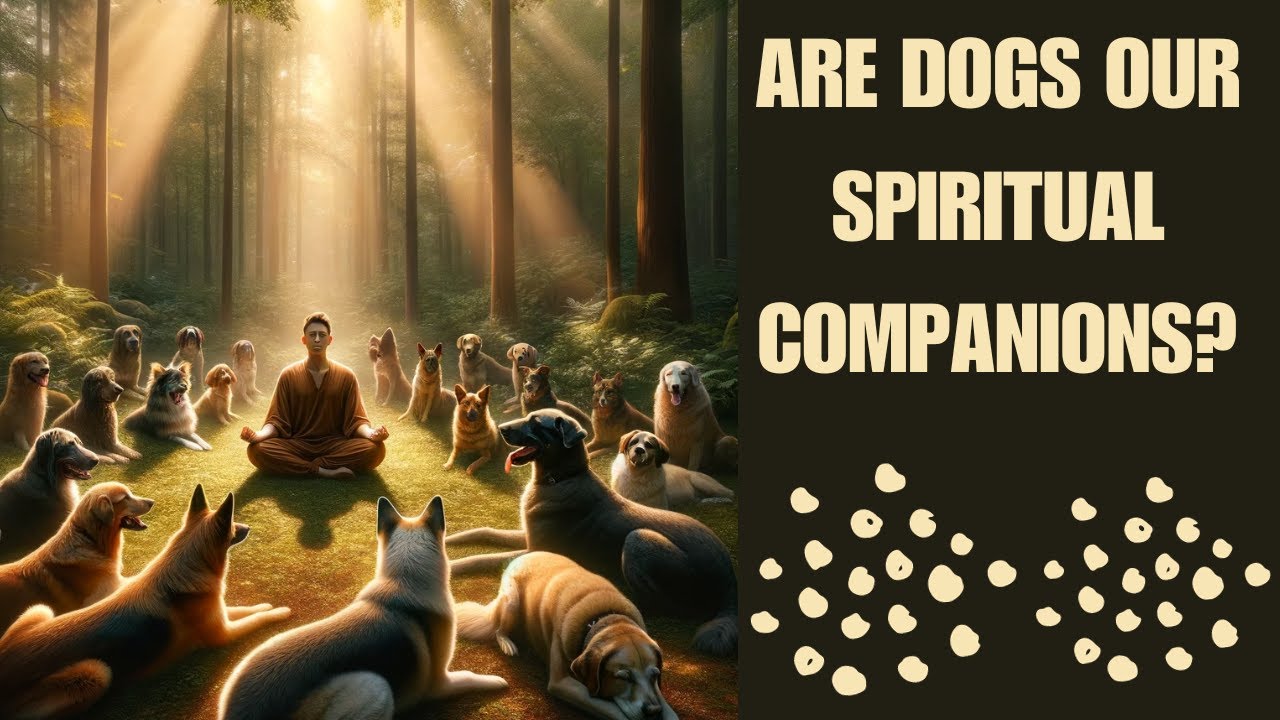 ARE DOGS OUR SPIRITUAL COMPANIONS? | WHY DID GOD PUT A DOG IN YOUR LIFE ...