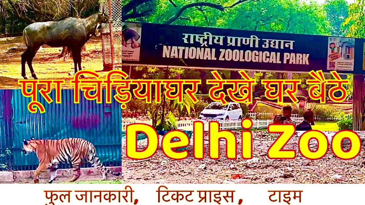 National Zoological Park I Zoo Delhi I Chidiya Ghar Delhi I चिड़िया घर ...