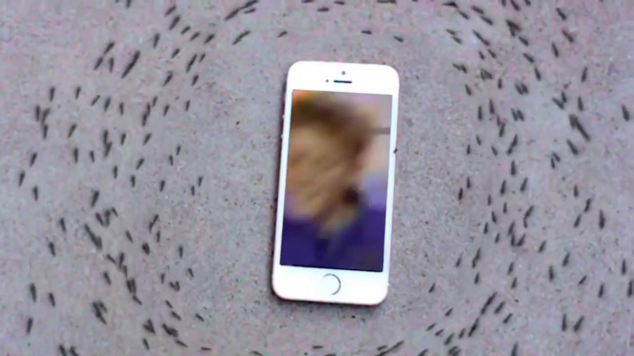 iPhone 5s makes ants dance in a circle to DUANE! - YouTube