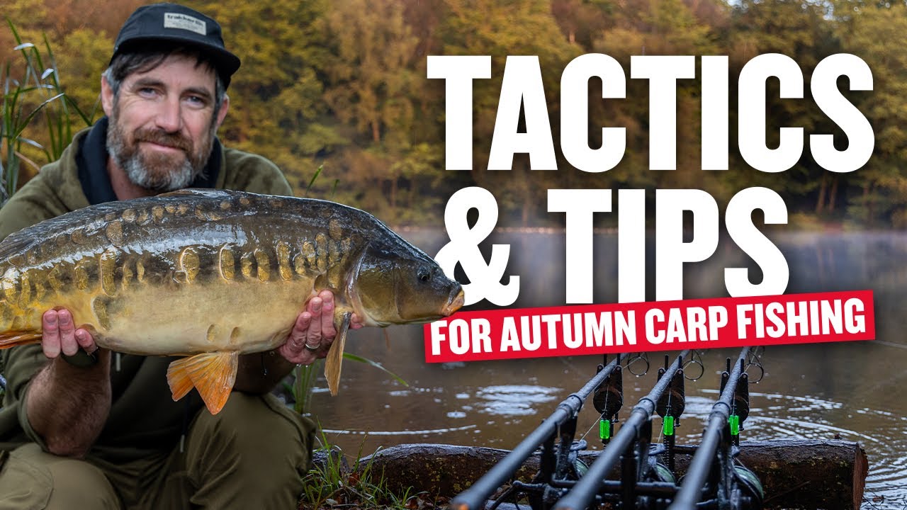 Carp Fishing Autumn Tactics with Simon Dew - YouTube