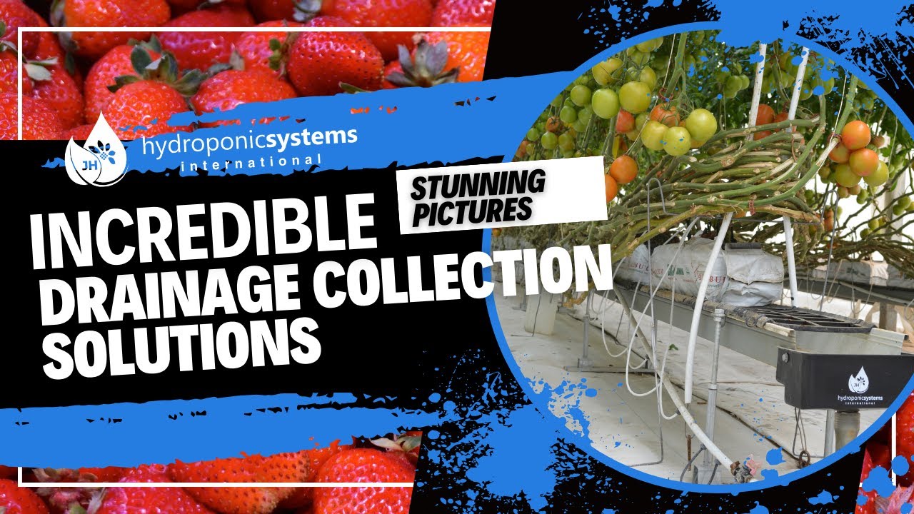 Incredible Drainage Collection Solutions: Stunning Photos Inside - YouTube