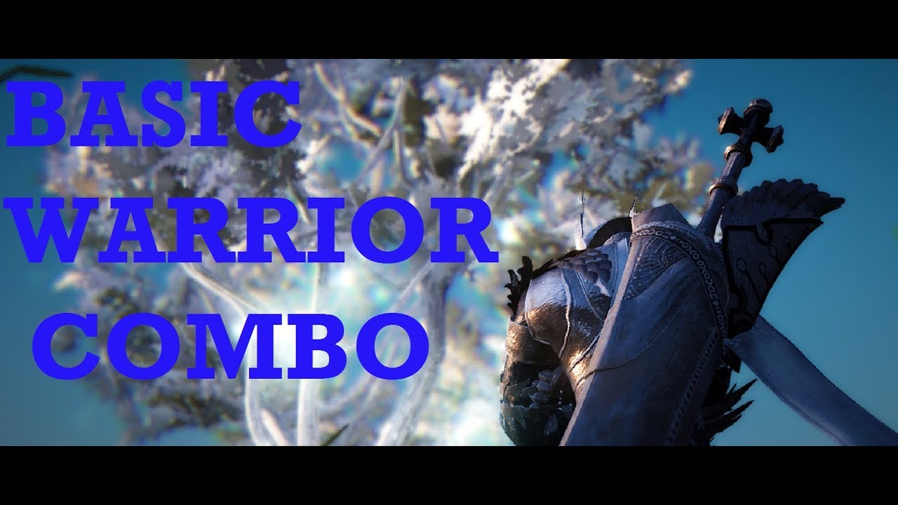 Black Desert - Essential Basic Warrior Combo - YouTube