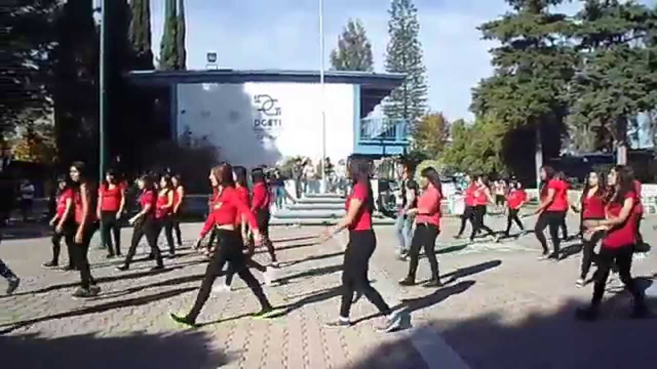 Presentacion Grupo de Danza CETIS 21 - YouTube