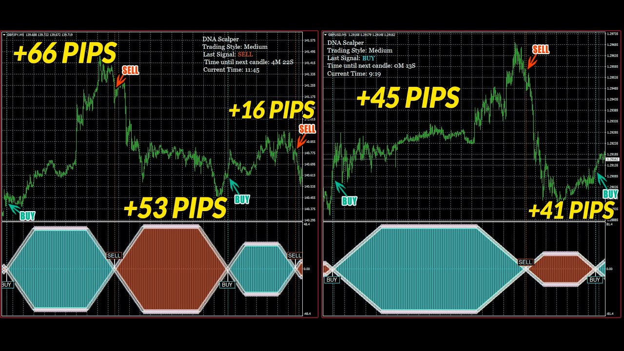 DNA SCALPER TRADING INDICATOR | BUY/SELL SINALS OF EXTREME RELIABILITY ...