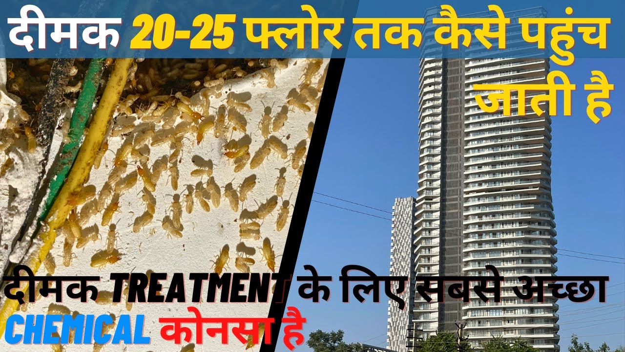 Deemak ghar mai kaise pahuchti hai | how termites get into you home ...