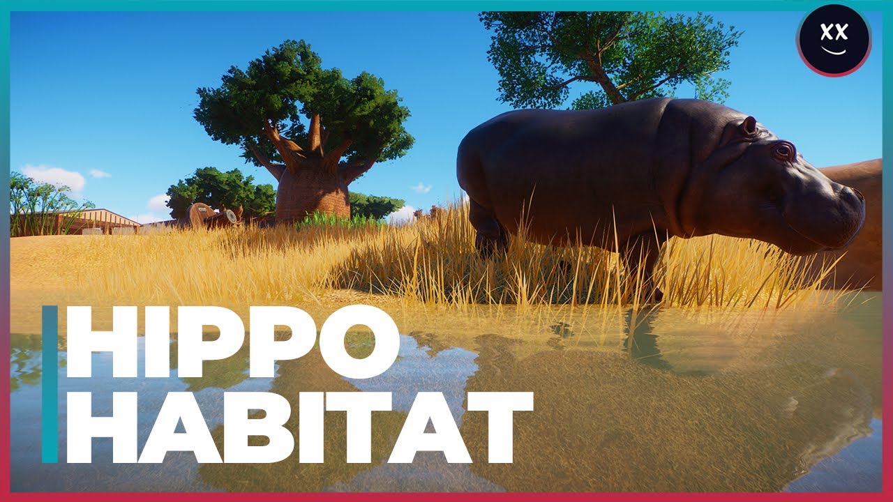 Planet Zoo Hippo Habitat | Underwater viewing area | Part 10 - YouTube