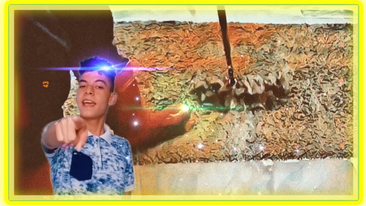 "PORQUE ESSE VÍDEO E TÃO SATISFATÓRIO??" (T01:E16) - YouTube