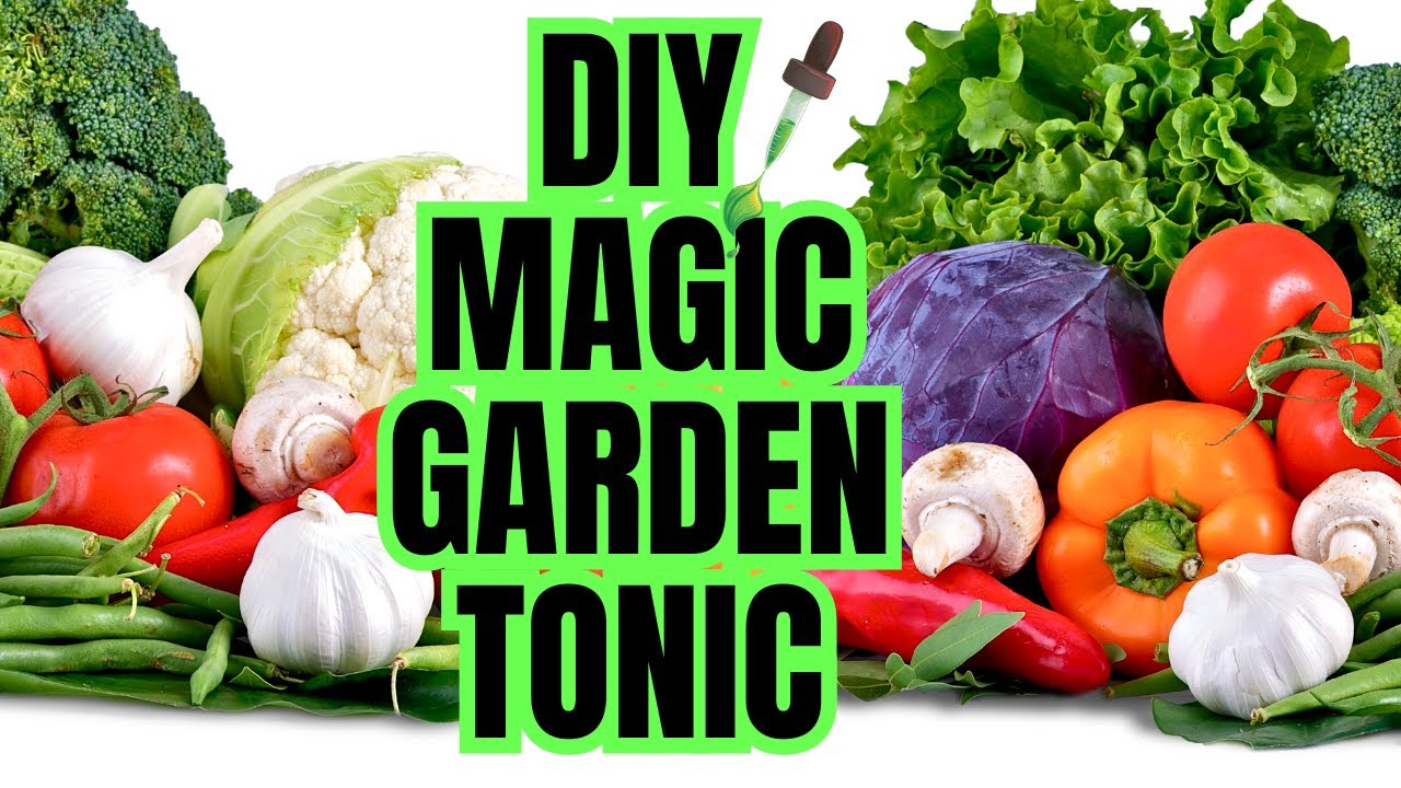 Magic Garden Tonic For All Vegetables | 100% Success Results!!! - YouTube