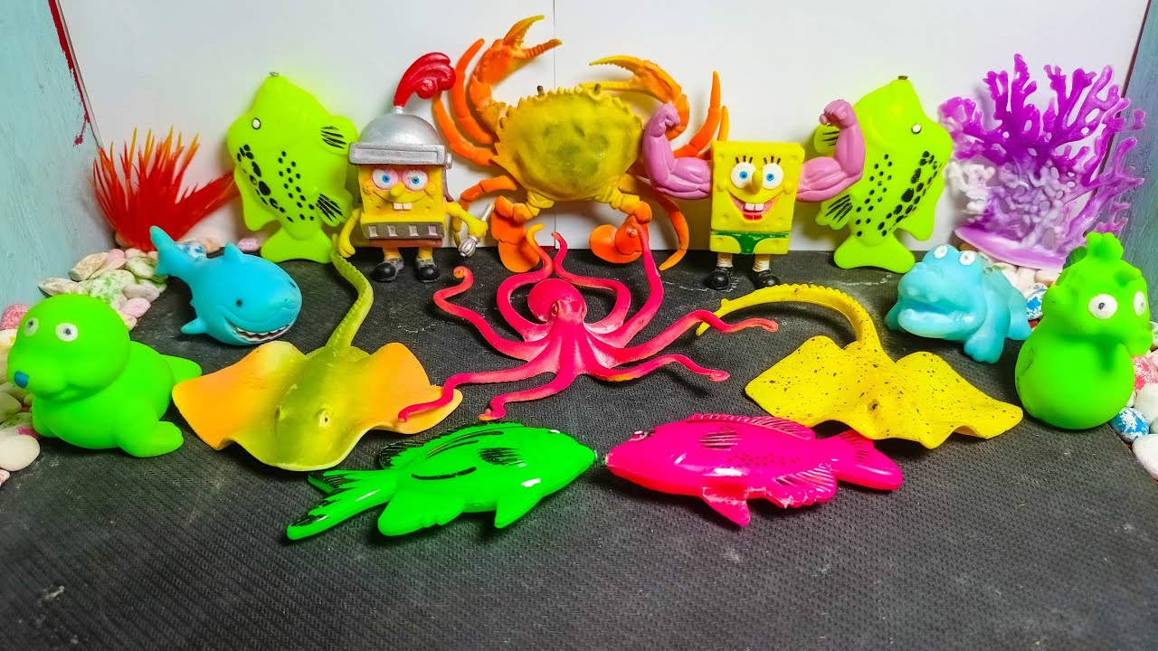 ikan pari, kepiting, Spongebob Squarepants, biaya, ikan hiu, kuda laut ...
