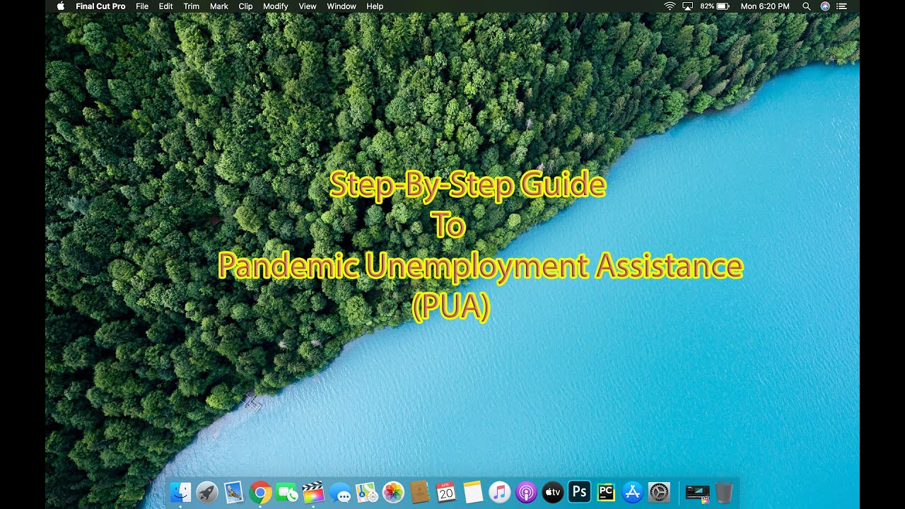 How to Apply for Pandemic Unemployment Assistance. PUA. Step by step ...
