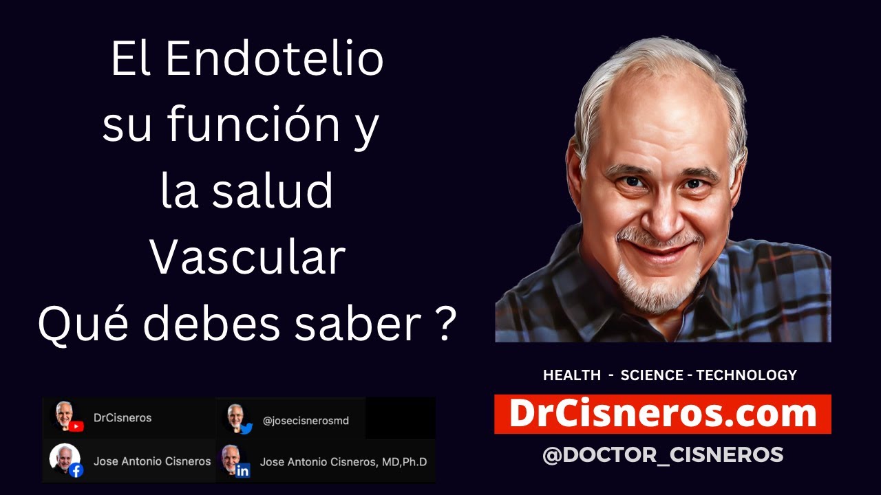 El Endotelio y su función, la clave de la salud vascular - YouTube