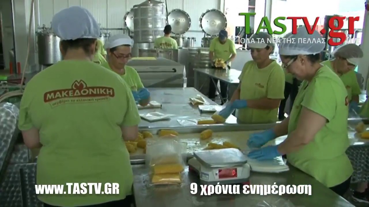 ΑΓΡΟΚΗΠΟΣ ΧΑΛΒΑΤΖΗ – ΜΑΚΕΔΟΝΙΚΗ :ΠΑΡΑΓΩΓΗ ΕΠΕΞΕΡΓΑΣΙΑ ΚΑΛΑΜΠΟΚΙΟY - YouTube