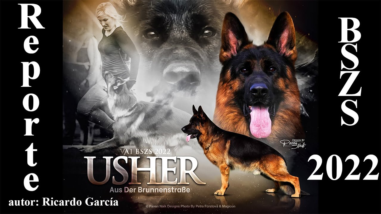 Usher aus der Brunnenstraße - YouTube