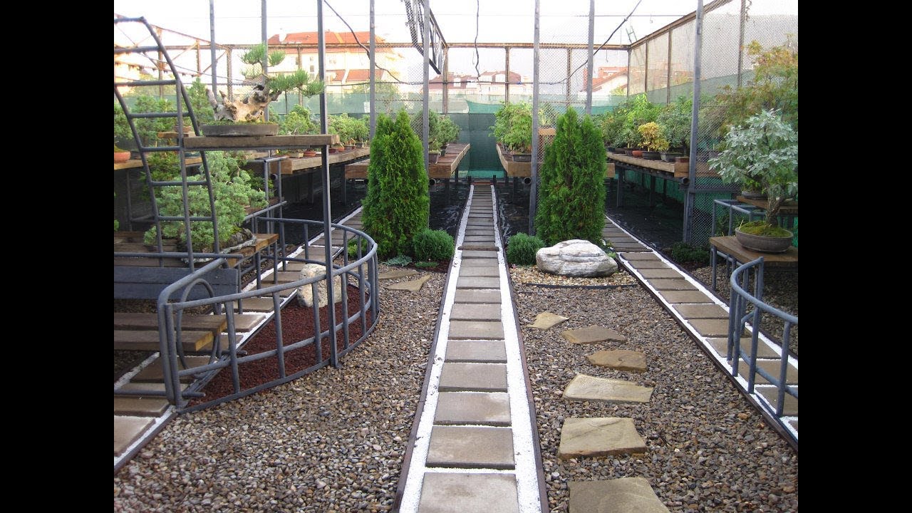 Bonsai Studio TT - YouTube