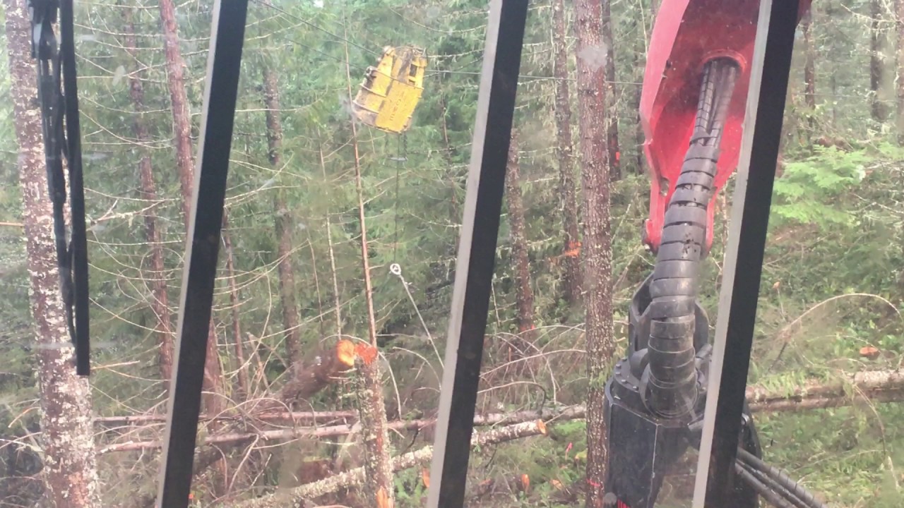 close look at yoder logging - YouTube