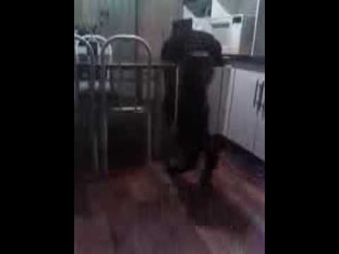 Maikelly dancando