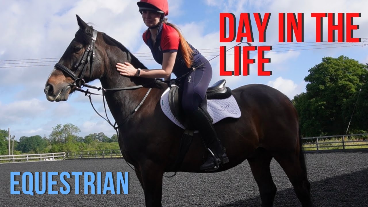 A DAY IN THE LIFE OF AN EQUESTRIAN - Equestrian vlog - YouTube