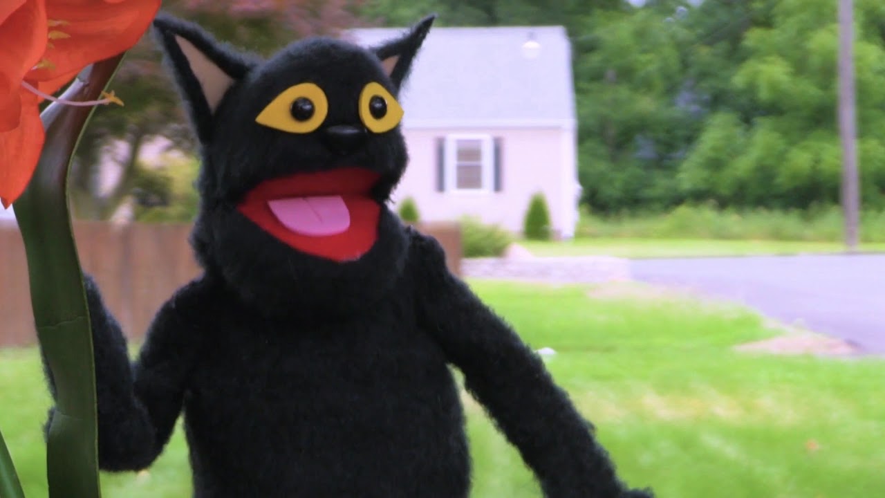 ANIMAL BEHAVIOR Episode 8 Trailer - YouTube