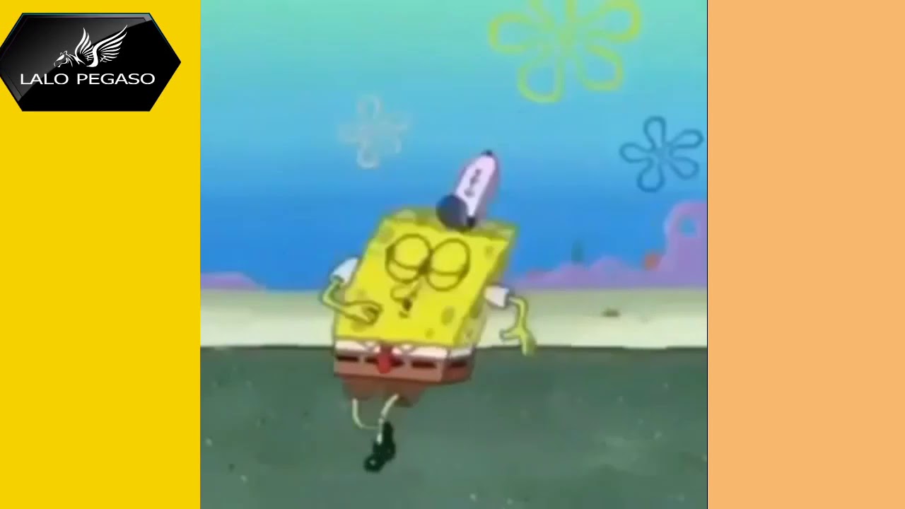 Bob esponja bailando xD