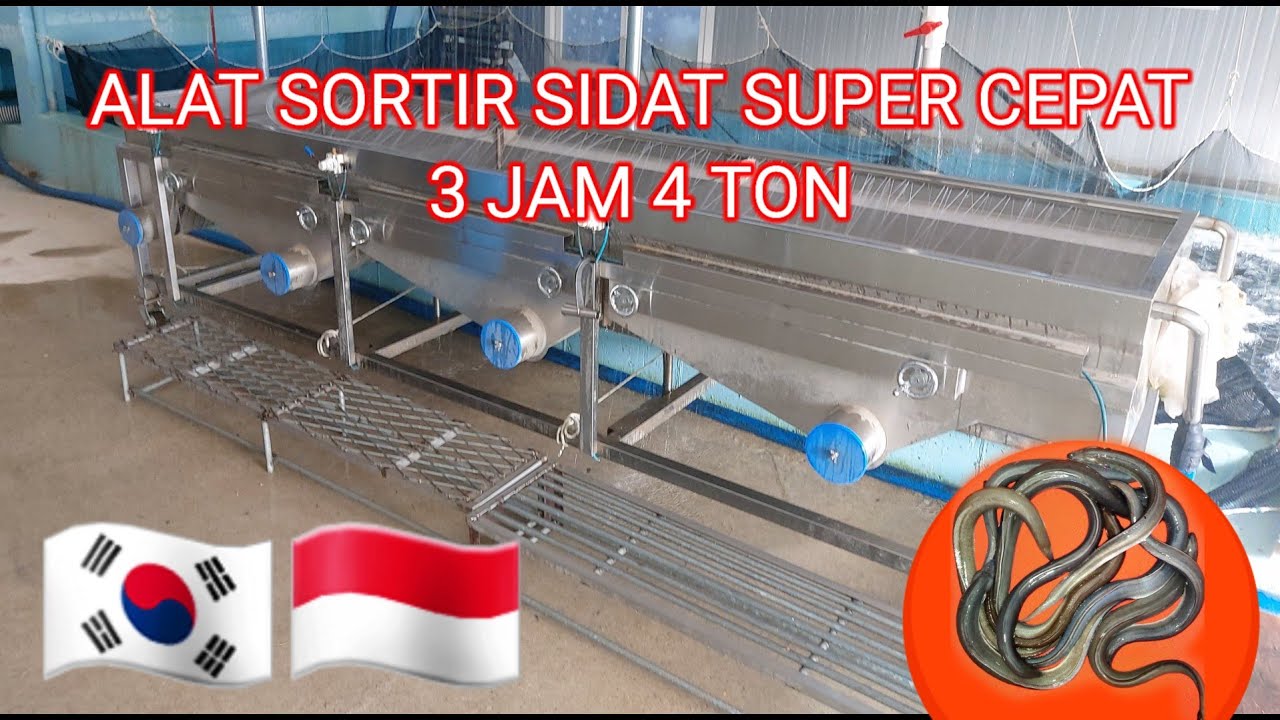 ALAT SORTIR SIDAT SUPER CEPAT 3 JAM 4 TON - YouTube