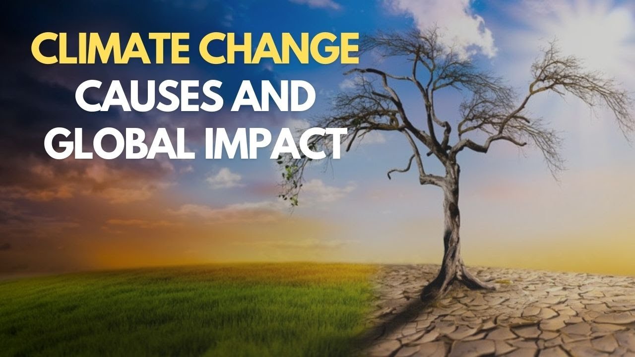 Climate Change Causes and Global Impact - YouTube