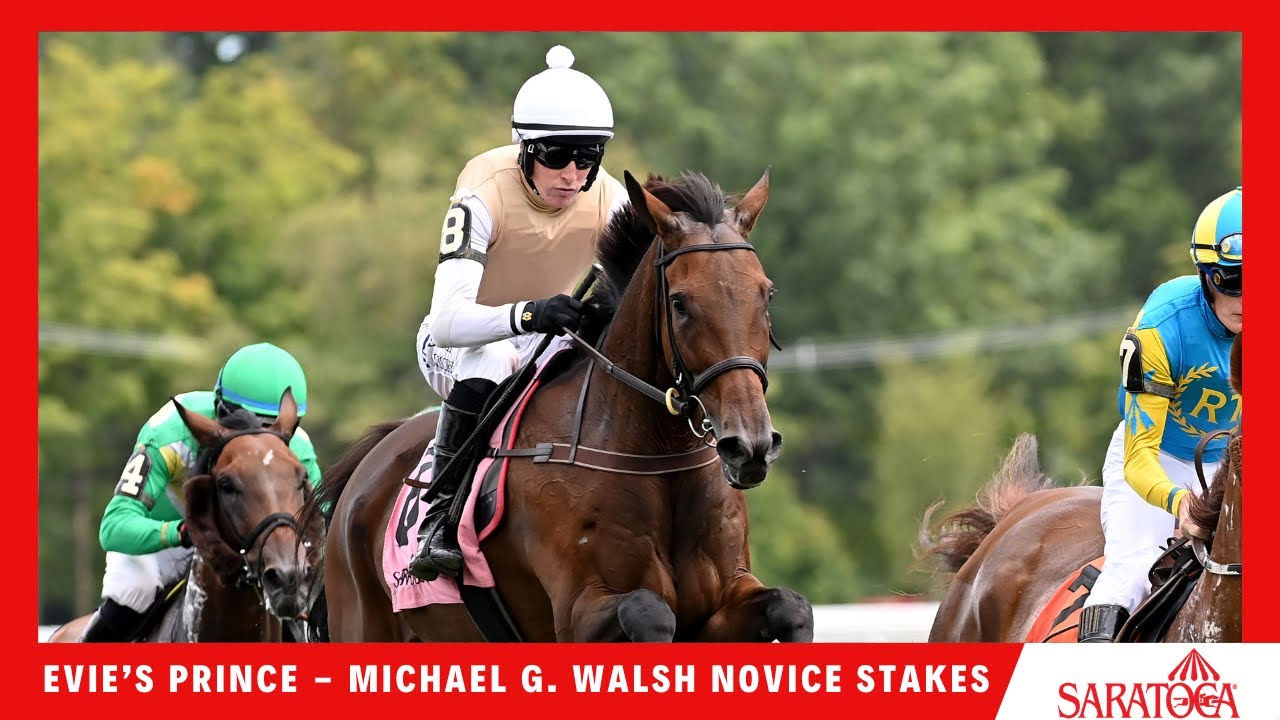 Evie's Prince - 2024 - Michael G. Walsh Novice - YouTube