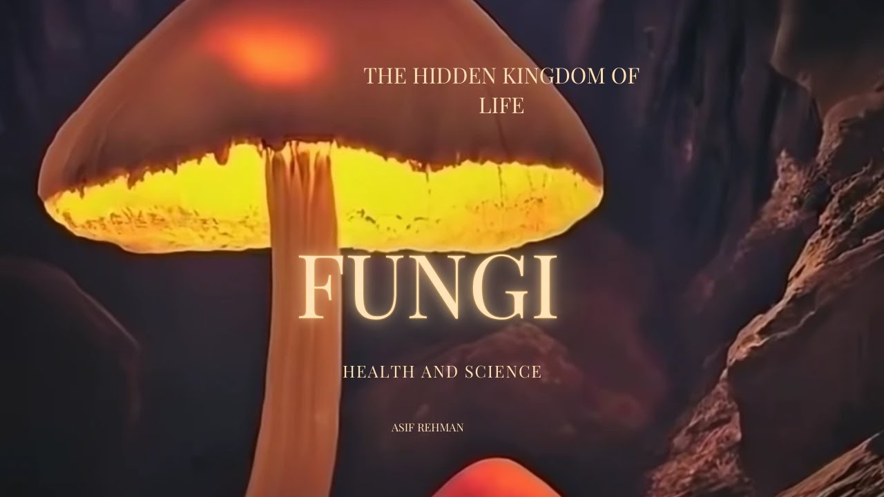Fungi: The Hidden Kingdom of Life! | Amazing Facts & Importance of ...